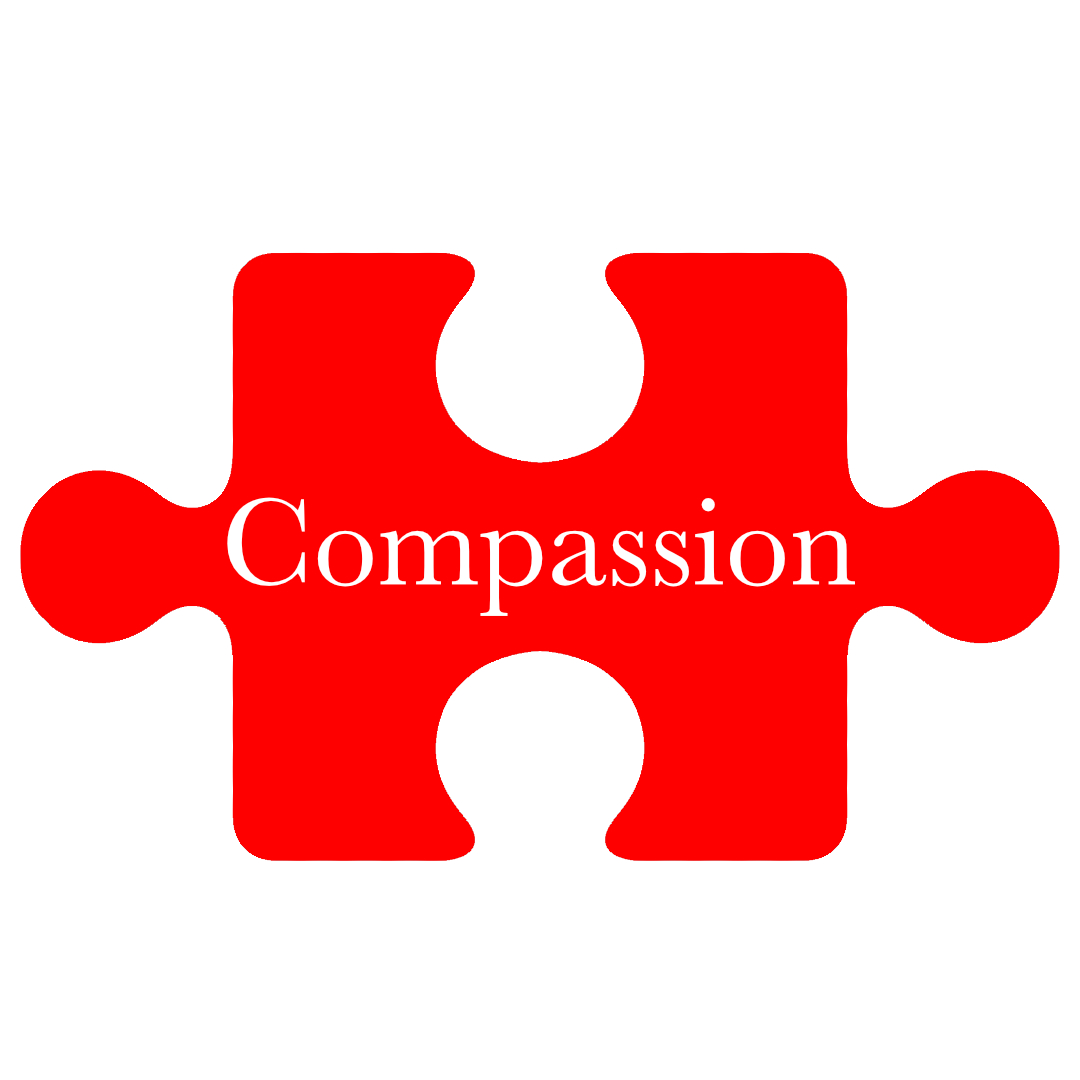 About – Patterns of Behavior